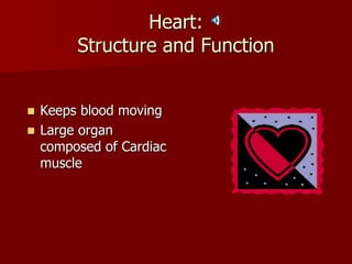 7th Circulatory System.ppt