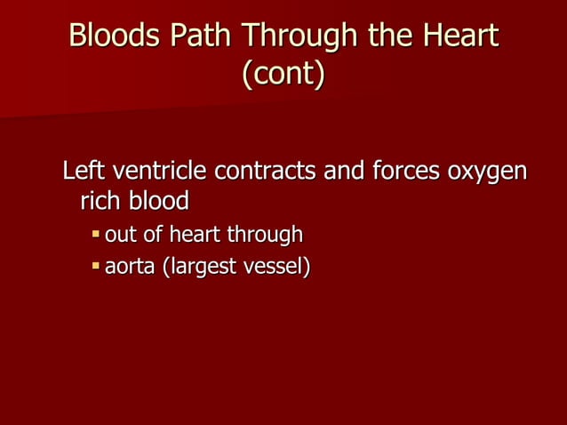 7th Circulatory System.ppt