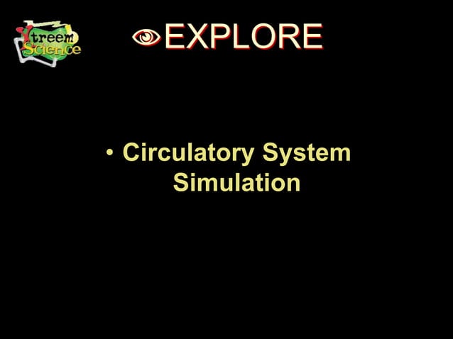 7th Circulatory System.ppt