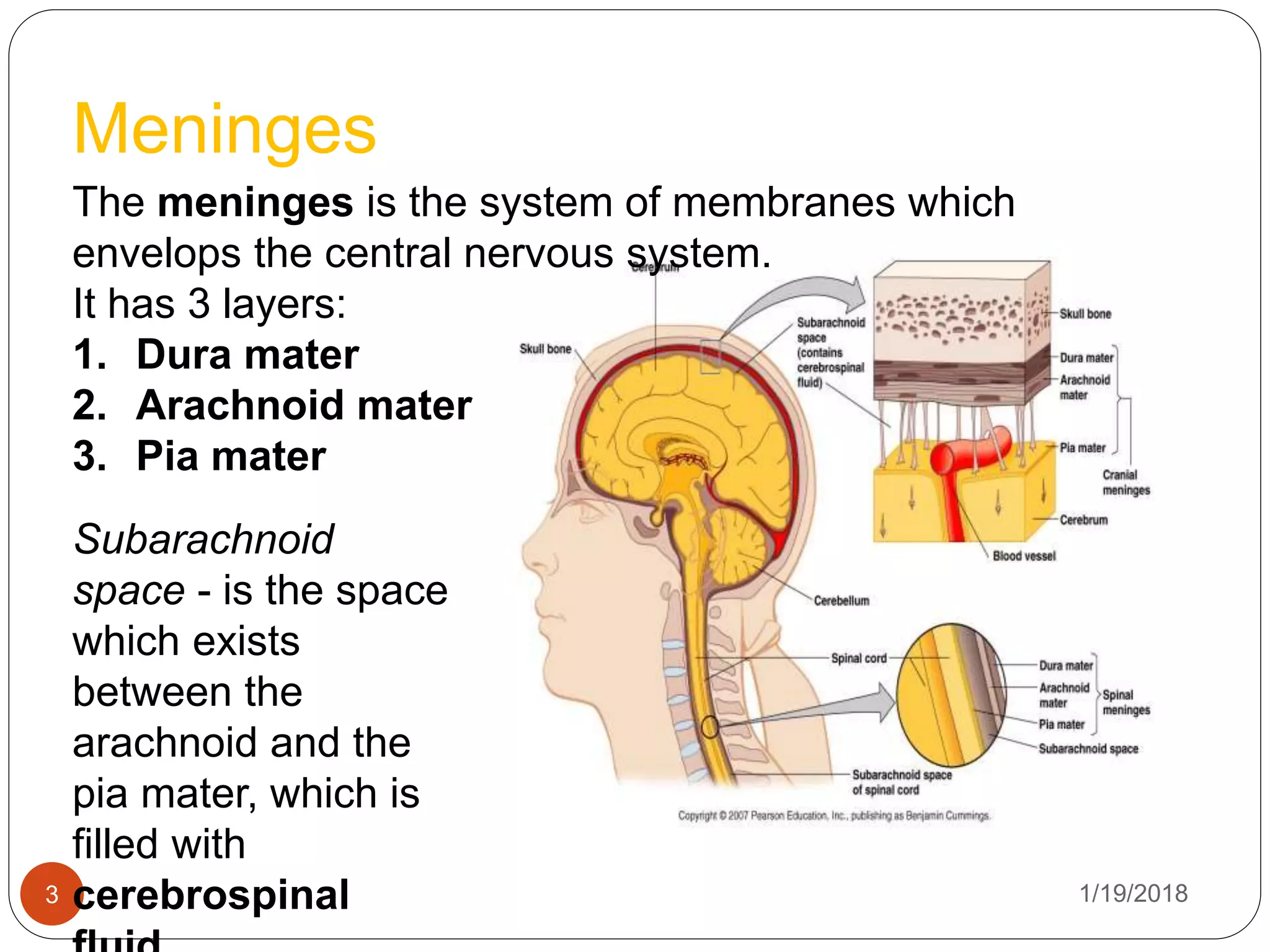 meningitis | PPTX