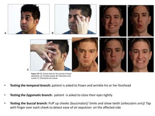 facial nerve examination | PPT