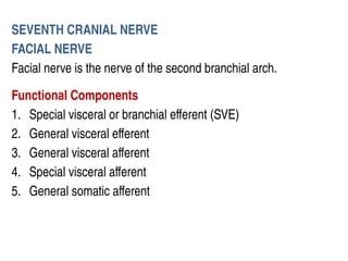 7th cranial nerve.pptx-2025-anatomy description | PPTX