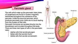 The Endocrine system.ppsx