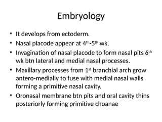 7 The Nose and Paranasal Sinuses 22.pptxhhhhhhhh | PPTX