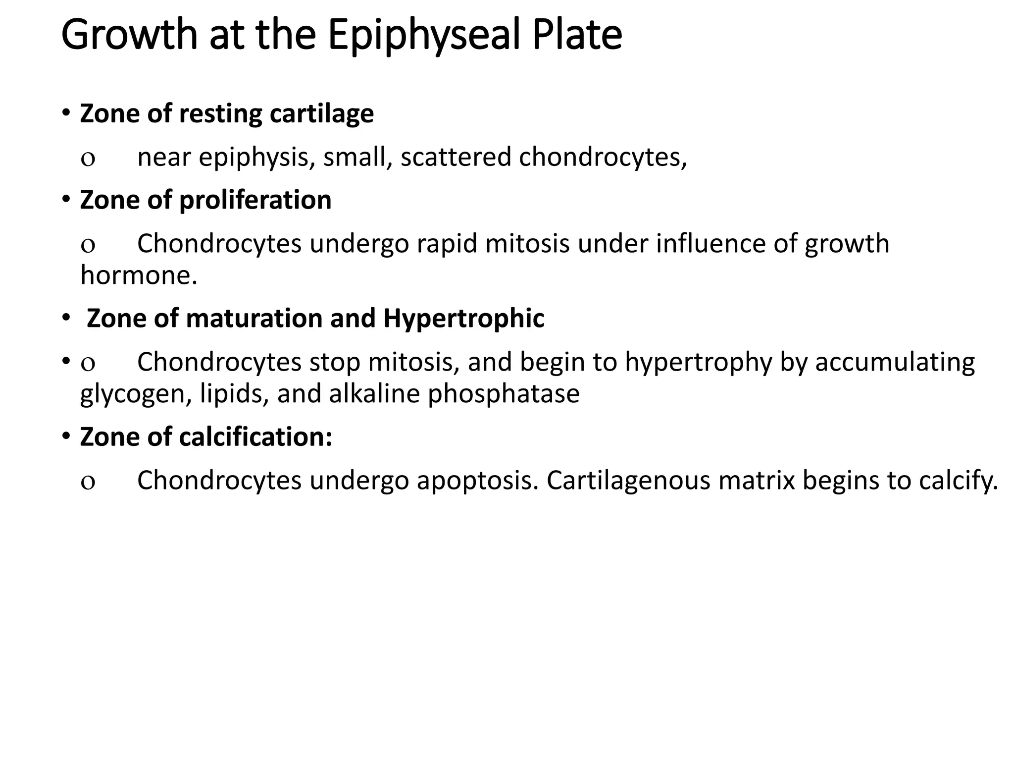 7 the skeletal system | PPTX