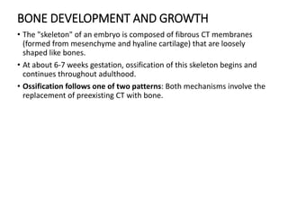 7 the skeletal system | PPTX