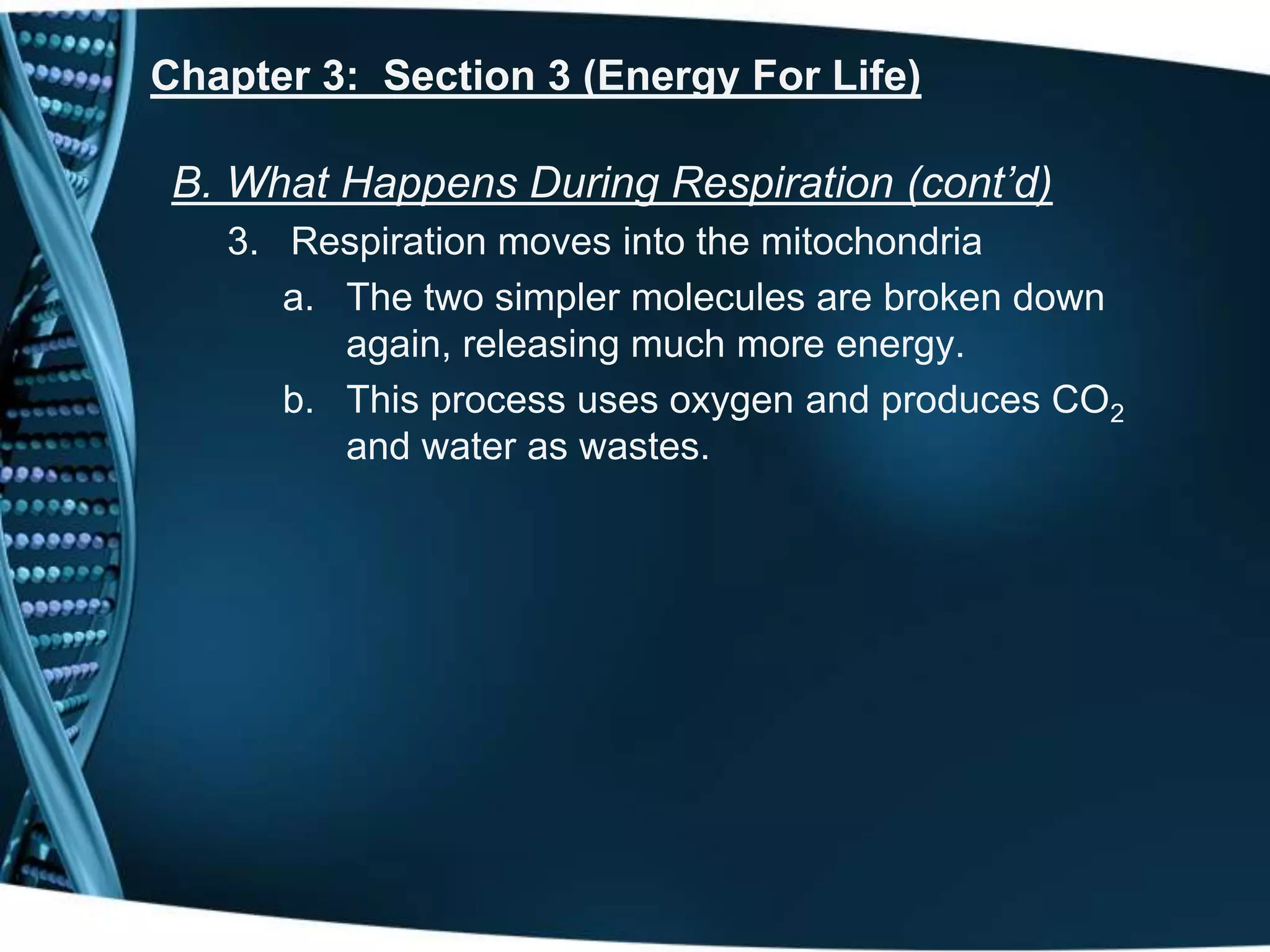 7th grade chapter 3 section 3 (energy in cells) | PPTX | Chemistry ...