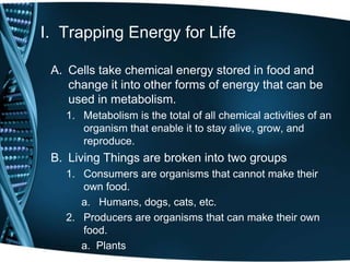 7th grade chapter 3 section 3 (energy in cells) | PPTX | Chemistry ...