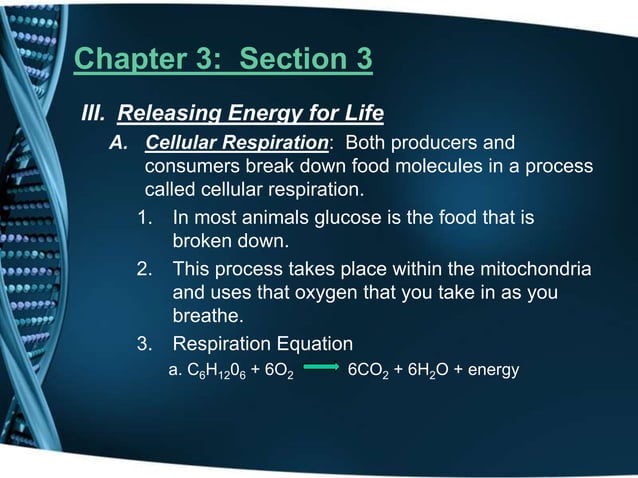 7th grade chapter 3 section 3 (energy in cells) | PPTX | Chemistry ...