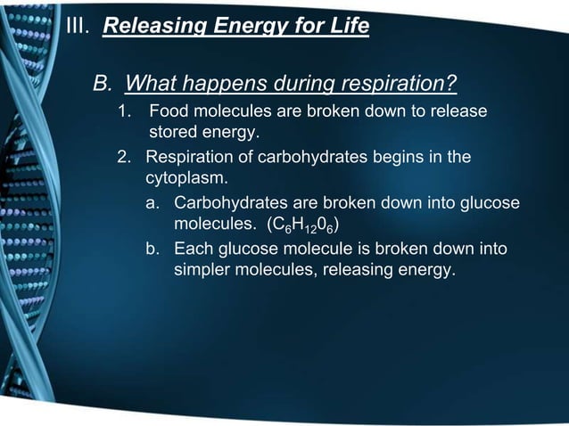 7th grade chapter 3 section 3 (energy in cells) | PPTX | Chemistry ...