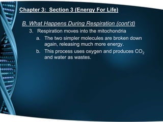 7th grade chapter 3 section 3 (energy in cells) | PPTX | Chemistry ...