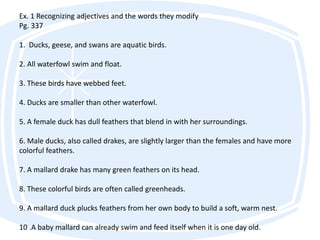 7th grade adjectives | PPTX