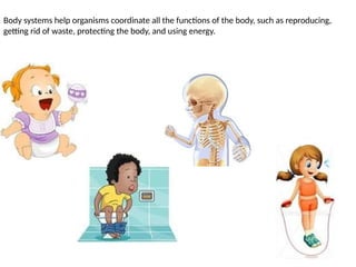 7th Grade Intro to Human Body Systems PPT.pptx