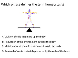 7th Grade Intro to Human Body Systems PPT.pptx