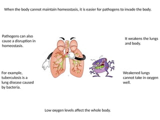 7th Grade Intro to Human Body Systems PPT.pptx