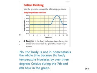 7th Grade Intro to Human Body Systems PPT.pptx