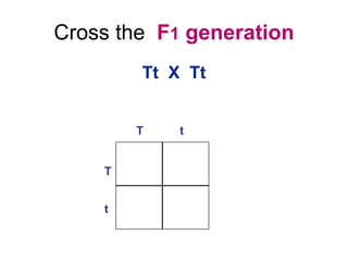 7th Grade Life Science Genetics
