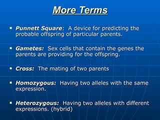 7th grade life science genetics and probability | PPT