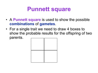 7th Grade Life Science Genetics