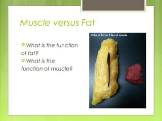 7th grade Nutrition Day 2 | PPT