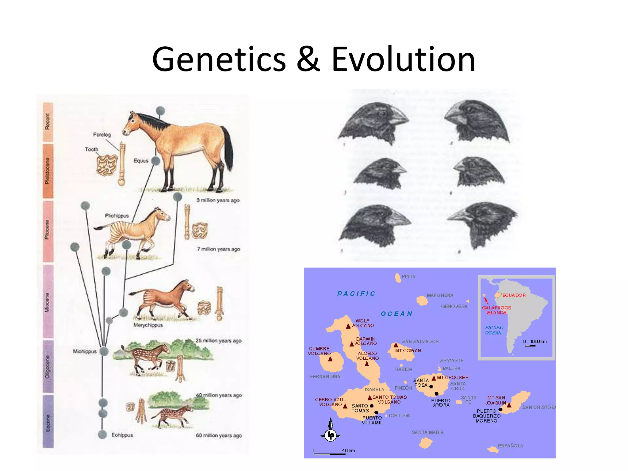 7th grade science at a glance | PPT