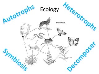 7th grade science at a glance | PPT