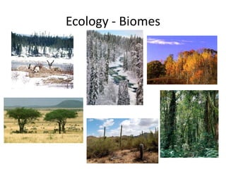 7th grade science at a glance | PPT