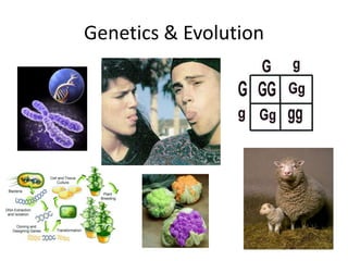 7th grade science at a glance | PPT