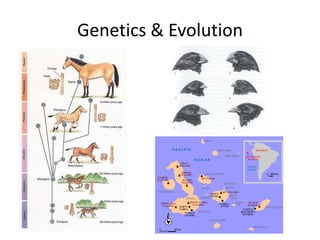 7th grade science at a glance | PPT