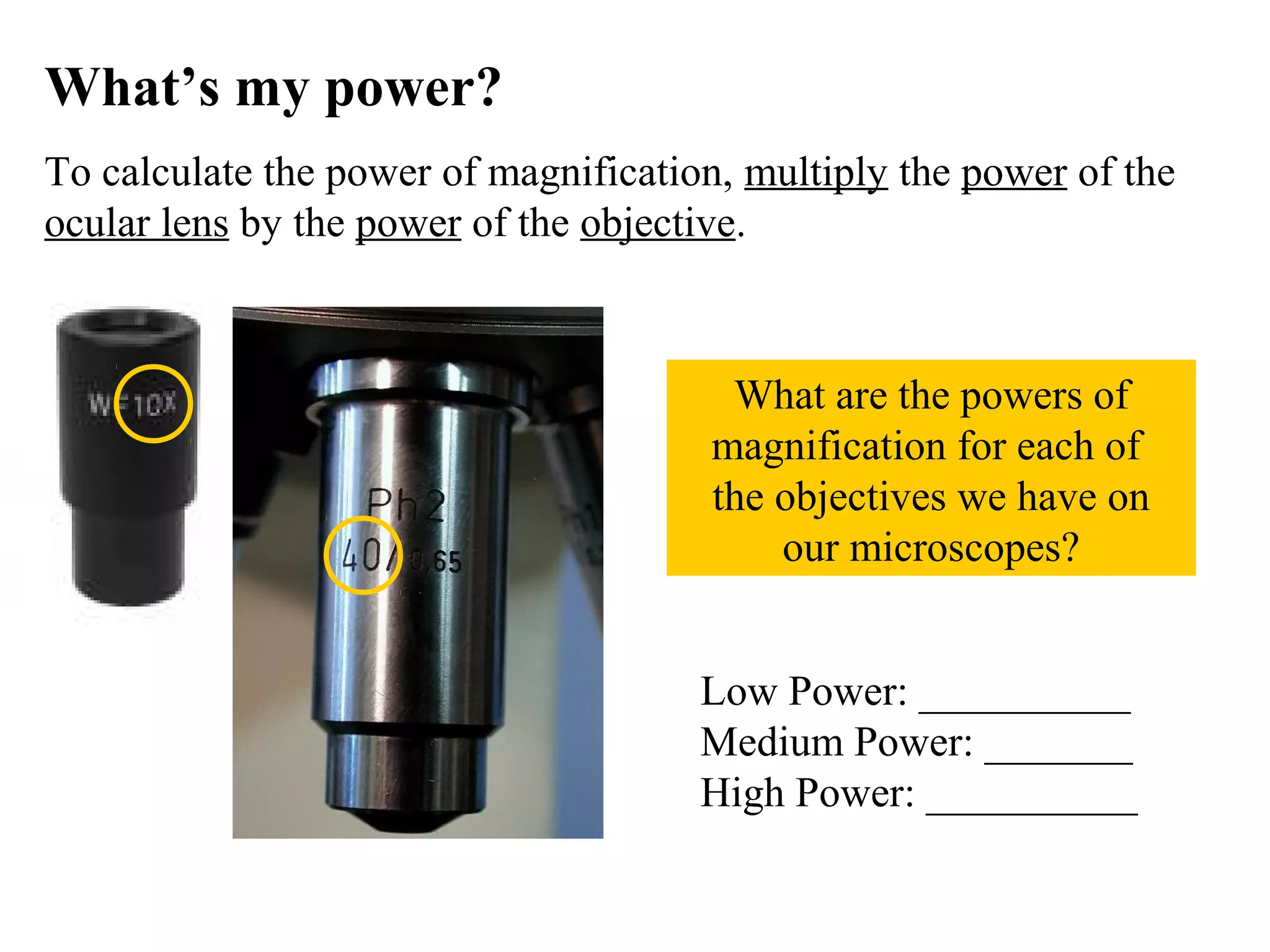 Microscope Basics | PPT