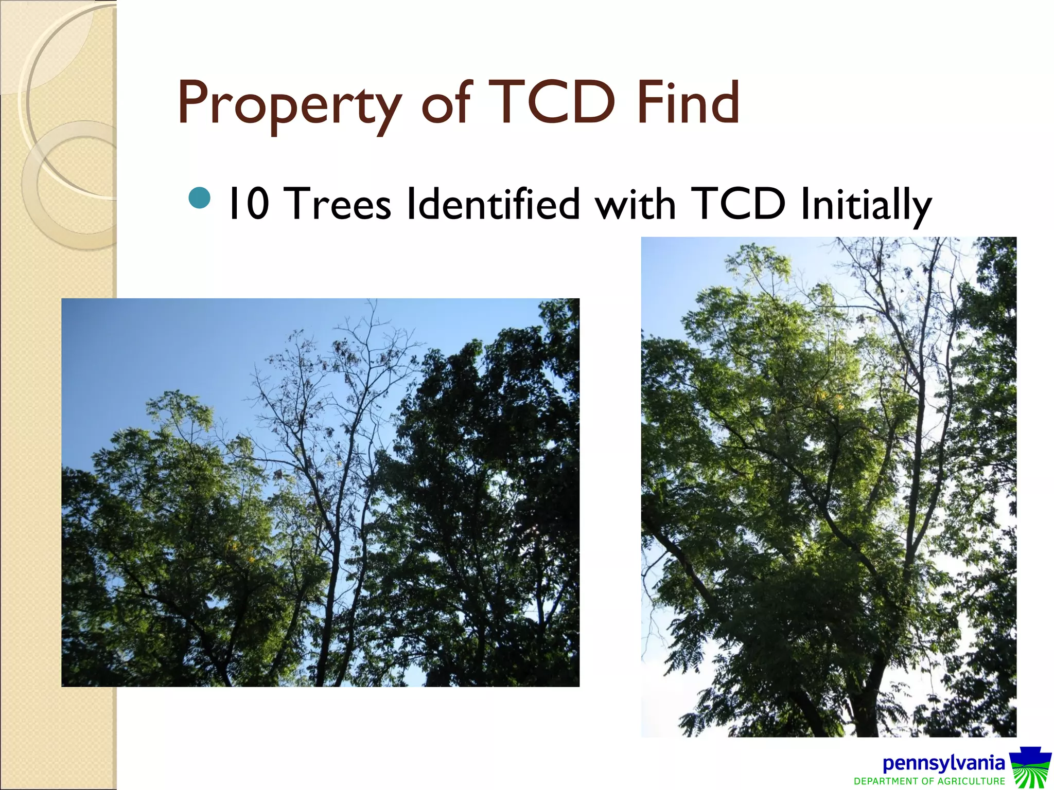 Thousand Cankers Disease of Walnut | PPT