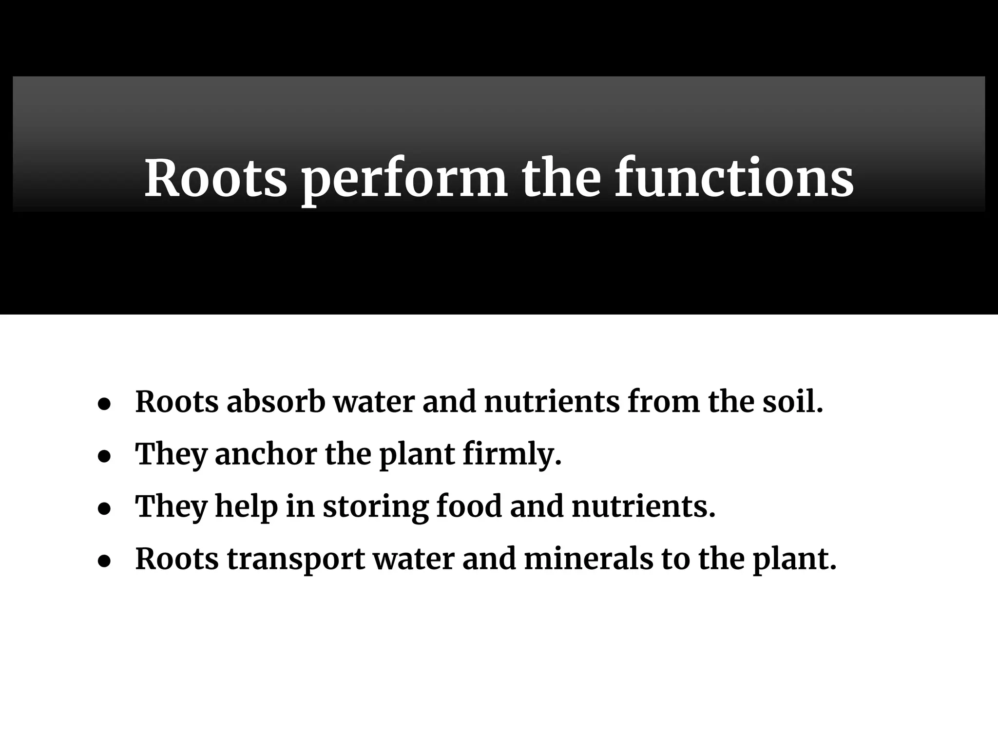 7th plant structure and function | PPTX