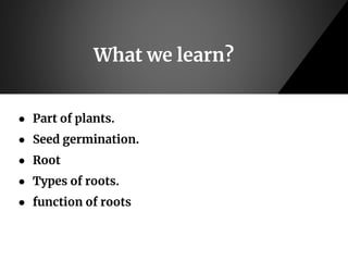 7th plant structure and function | PPTX