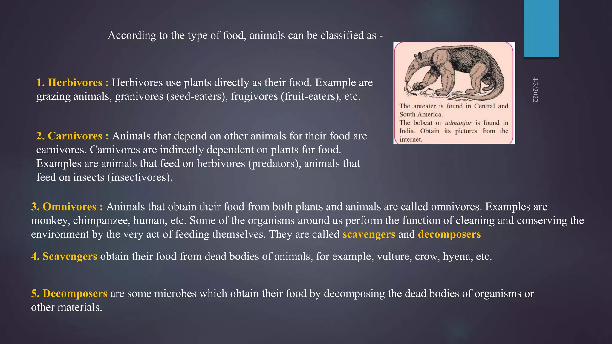 7th SCI 4. Nutrition in Living Organisms.pptx