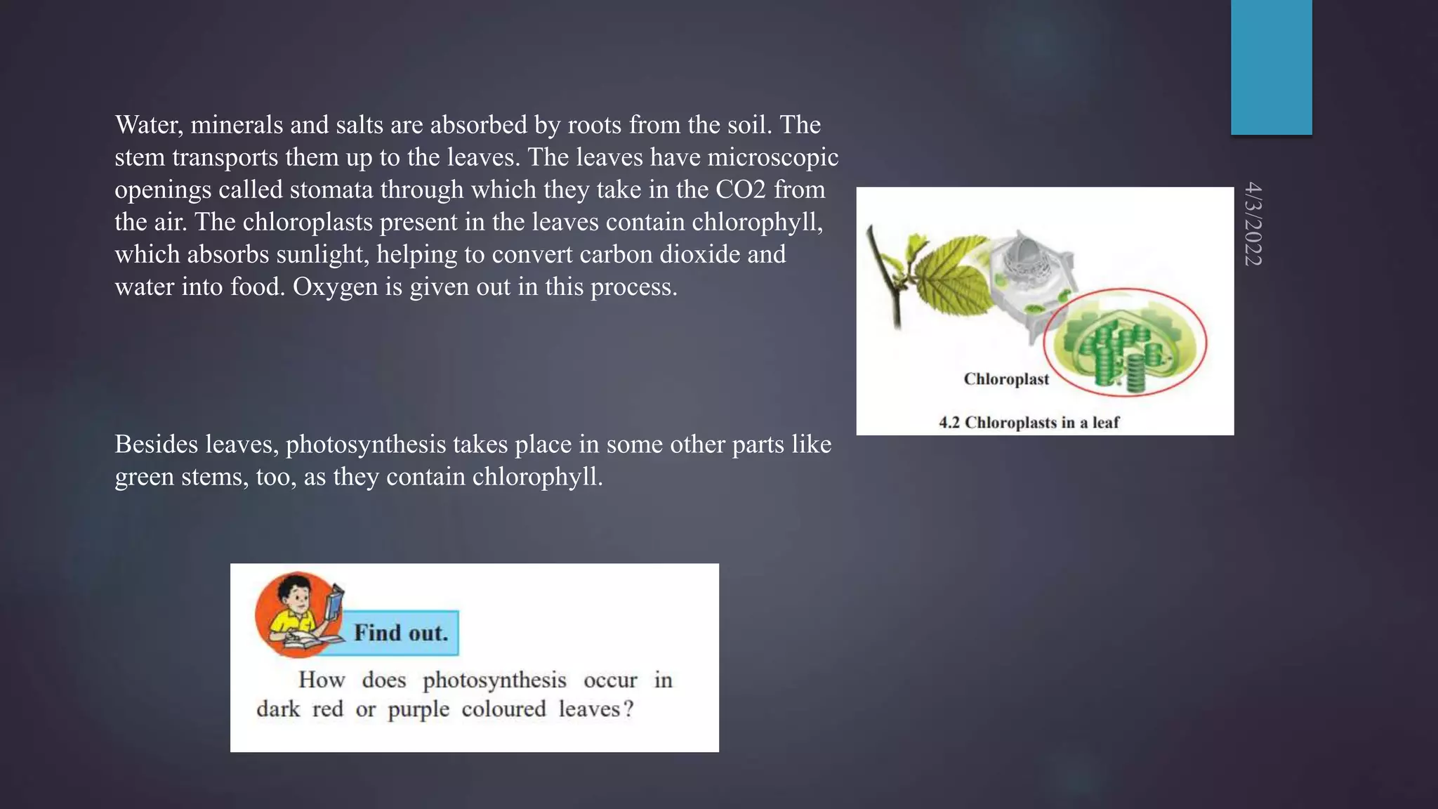 7th SCI 4. Nutrition in Living Organisms.pptx