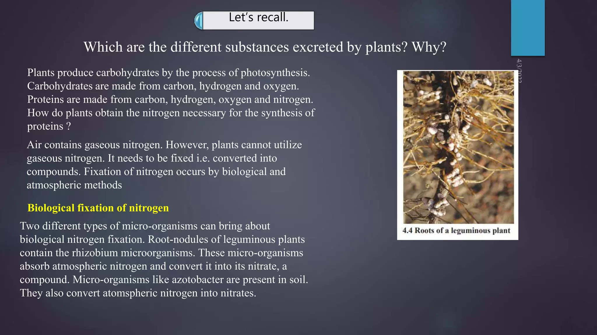 7th SCI 4. Nutrition in Living Organisms.pptx