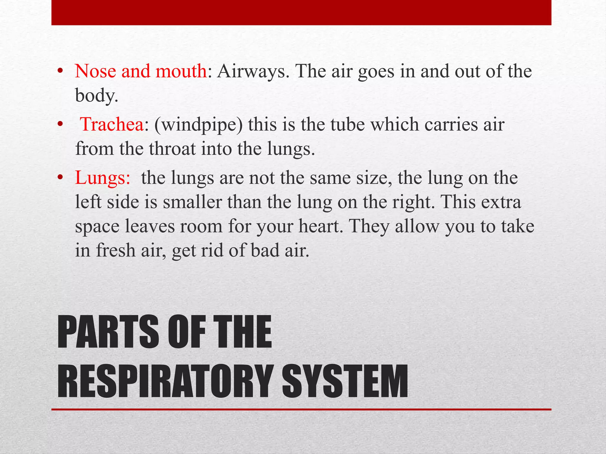 7th science third term respiratory system 2017 | PPTX