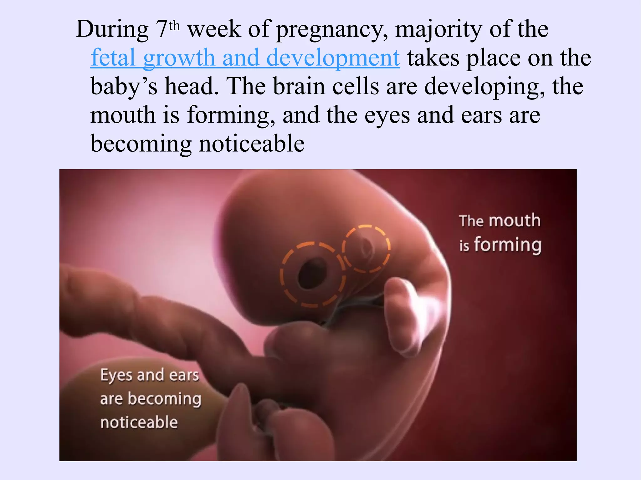 7 Weeks Pregnant: What to Expect | Pregnancy Week By Week | ODP