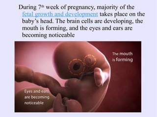 7 Weeks Pregnant: What to Expect | Pregnancy Week By Week | ODP