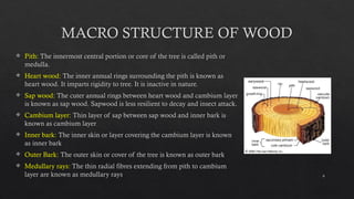 Timber as construction material in civil engineering.pptx