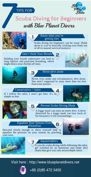 7 Tips for Scuba Diving for Beginners | PDF