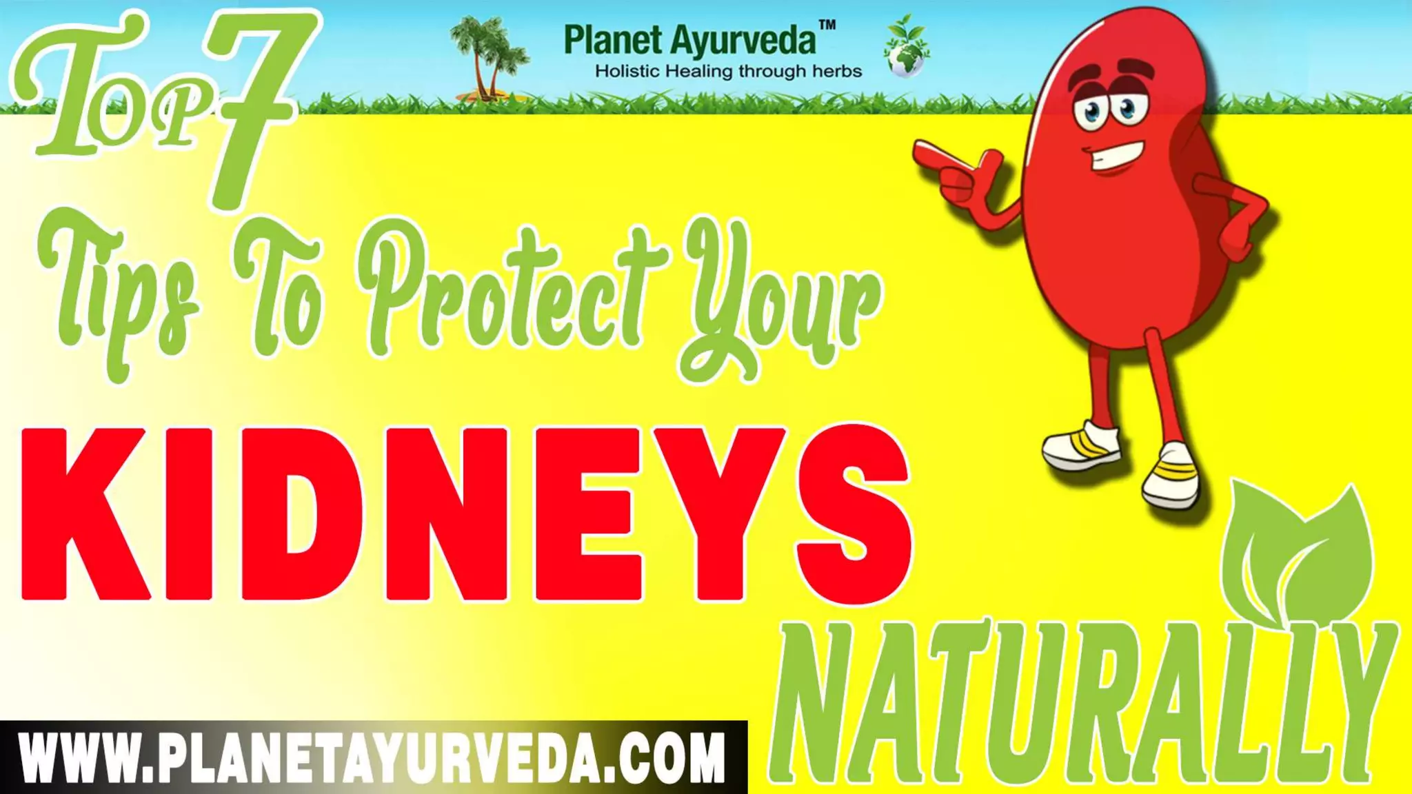 TOP 7 Tips to Protect Your Kidneys and Keep Them Healthy | PPT