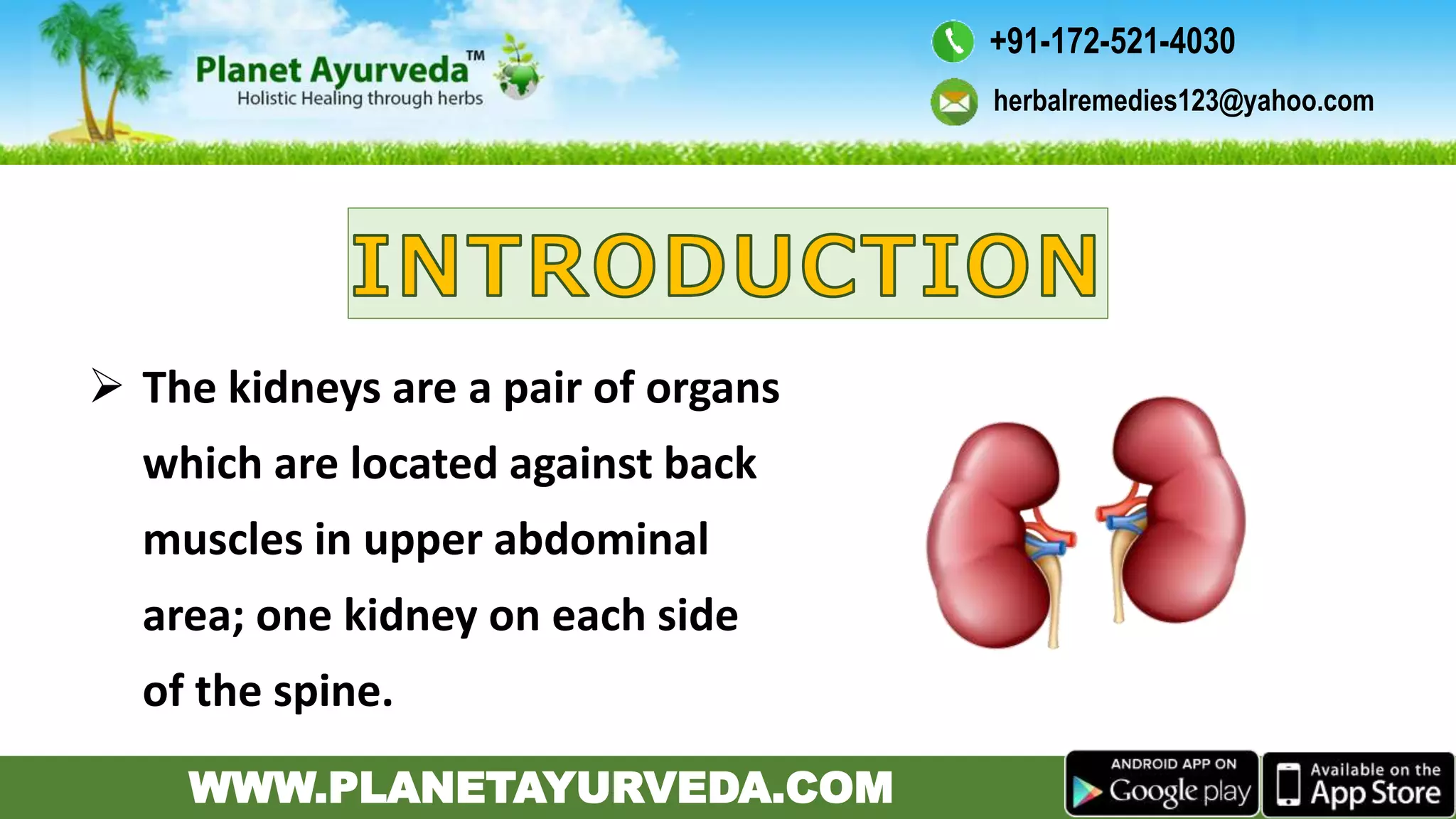 TOP 7 Tips to Protect Your Kidneys and Keep Them Healthy | PPT