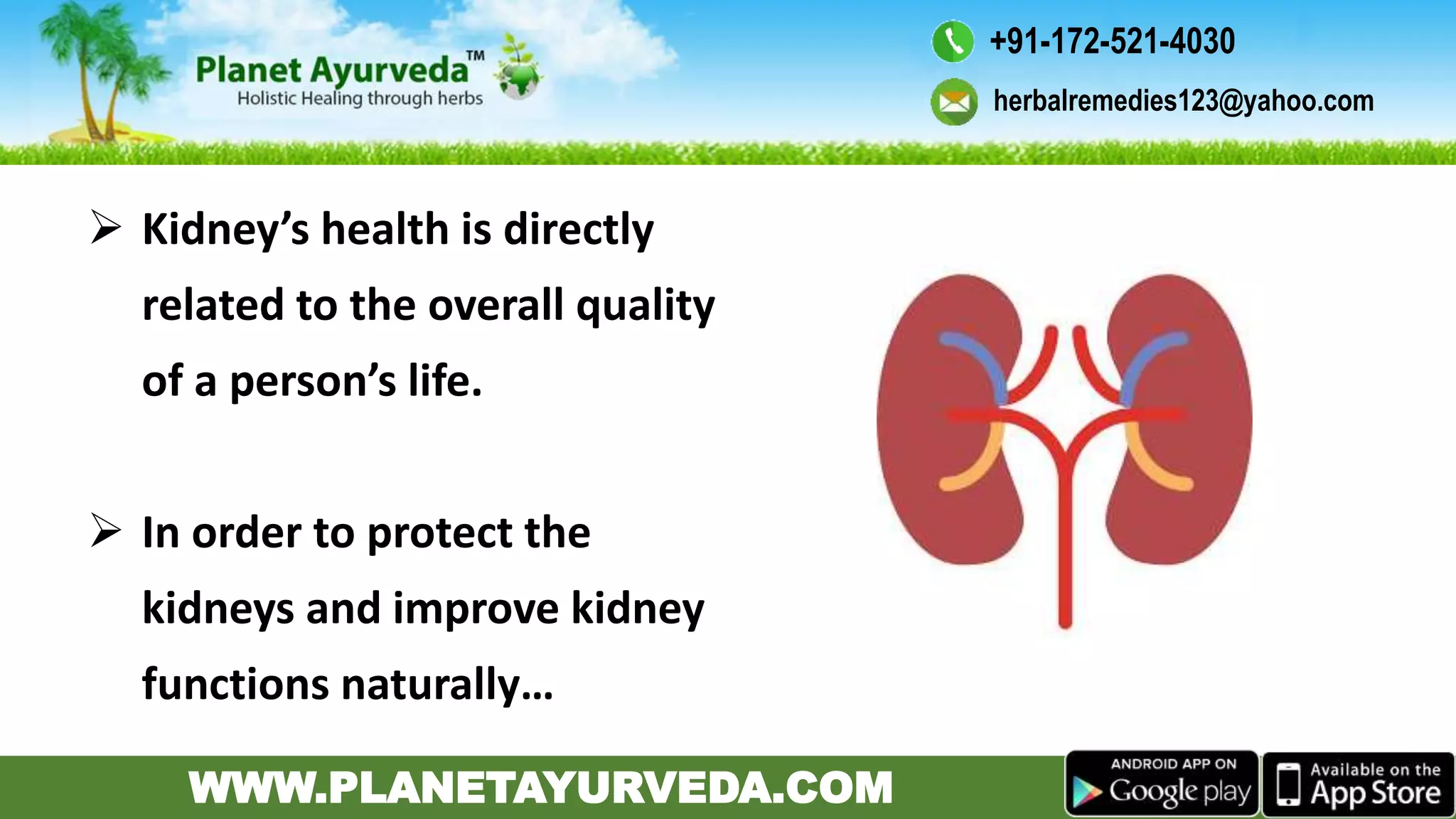 TOP 7 Tips to Protect Your Kidneys and Keep Them Healthy | PPT