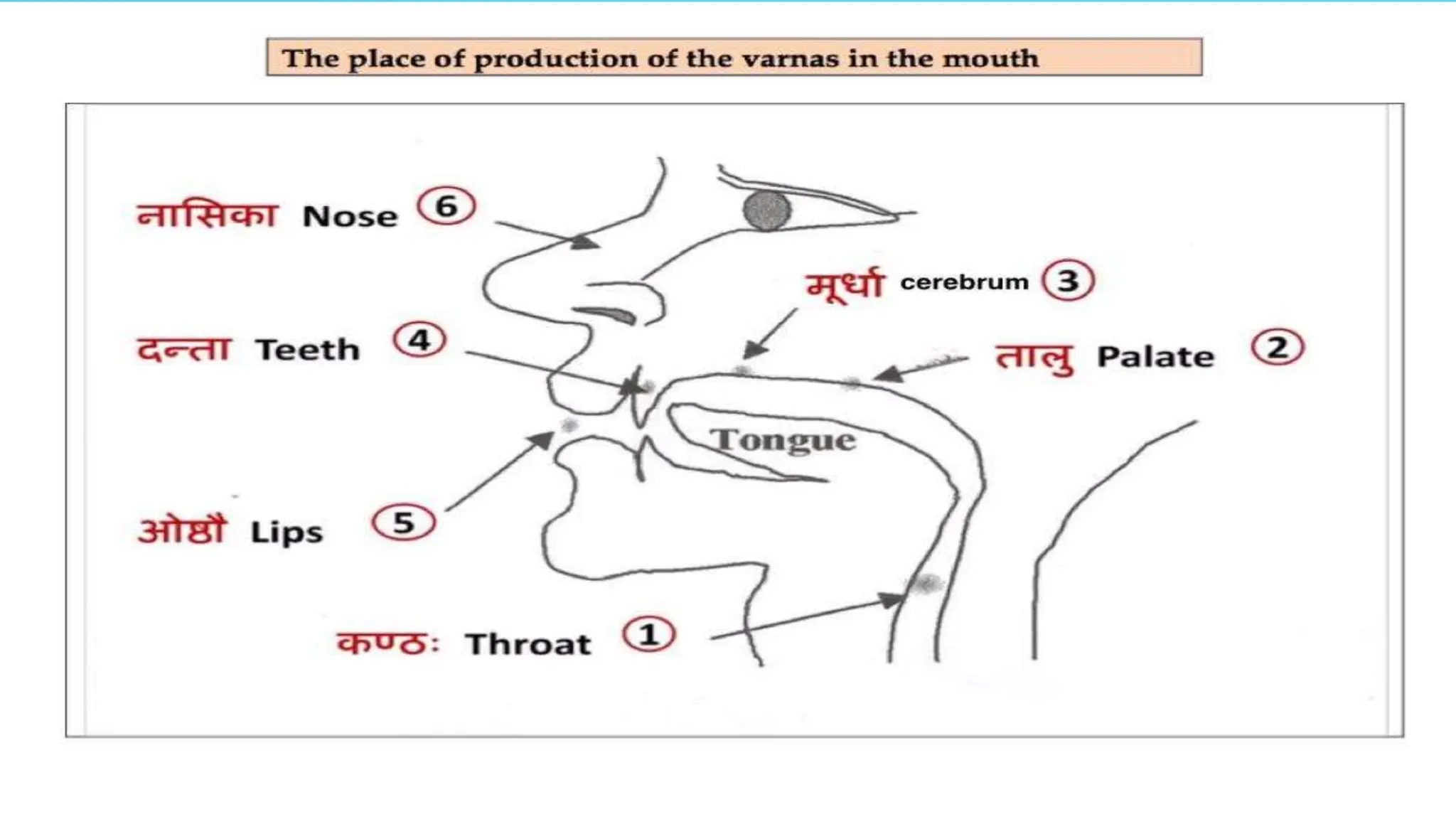 Sanskrit Utpattisthana.(place of origin of sanskrit letters) | PPTX