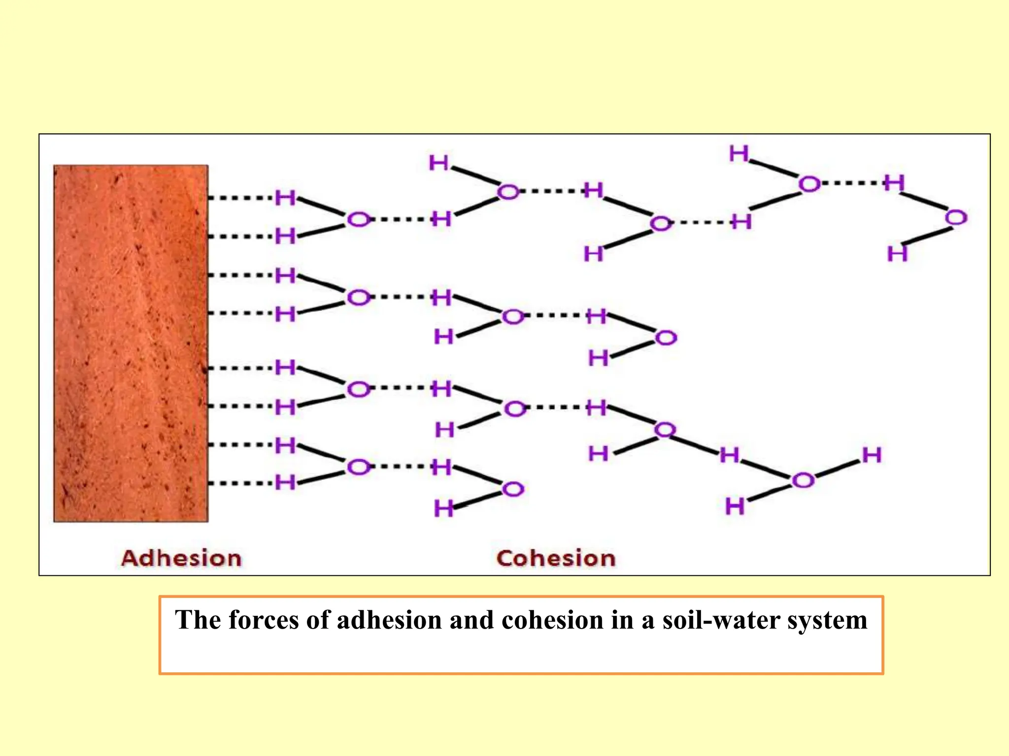 7 Water movements in soil.pptxbxbbd dbdbdbndjjd | PPTX | Chemistry ...