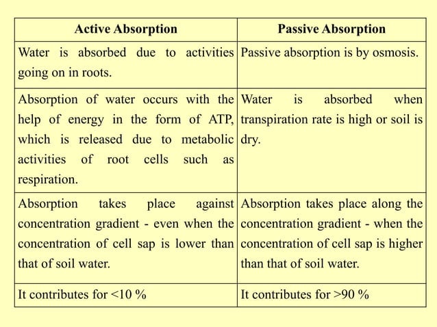 7 Water movements in soil.pptxbxbbd dbdbdbndjjd | PPTX | Chemistry ...