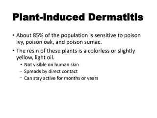 7 wfa bites, stings, allergies and anaphylaxis | PPT