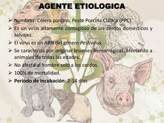 peste_porcina_.pptx