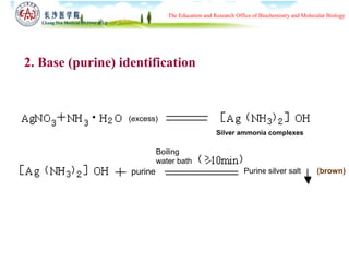 11 Biochemistry _ | PPT